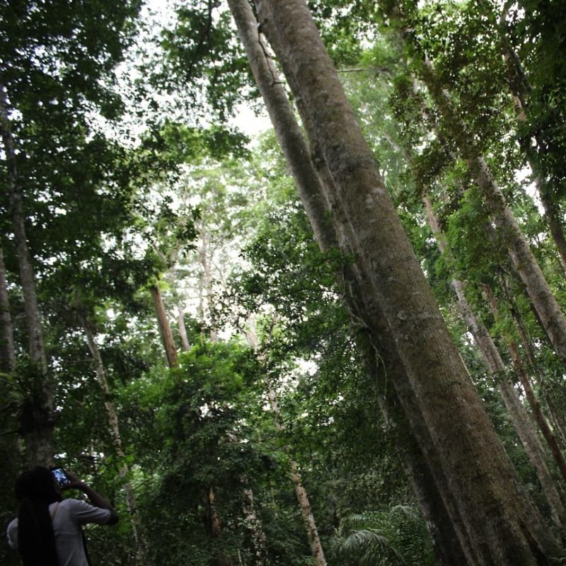 Trois heures de marche et d'air frais dans la forêt du Banco - Le Blog ...